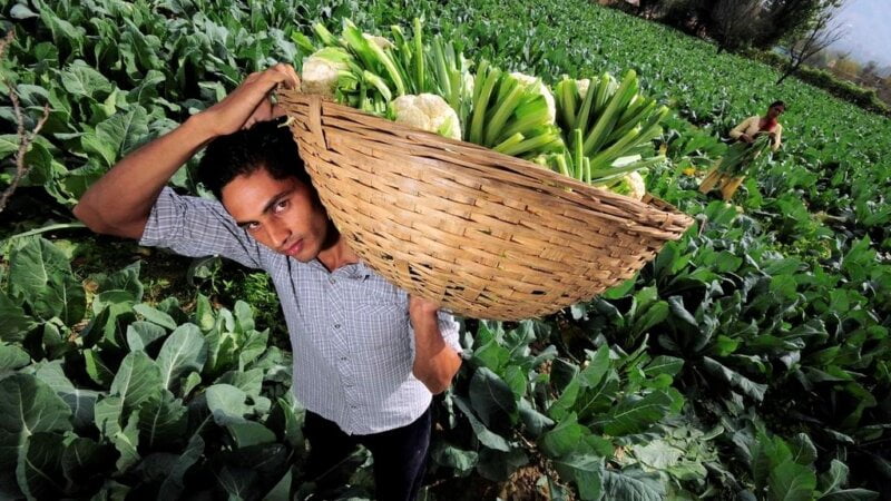 The Borgen Project | CAUSESynergy